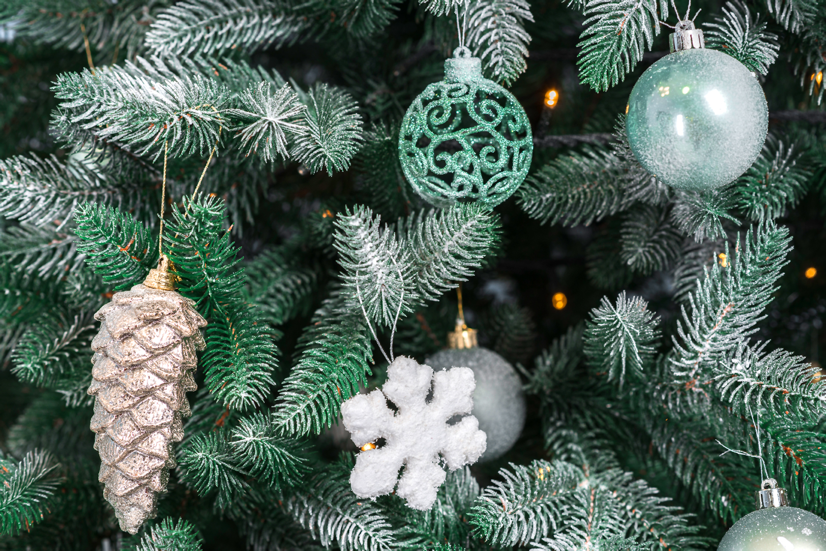 Живая или искусственная: выбираем главный символ Нового года - Народная ...